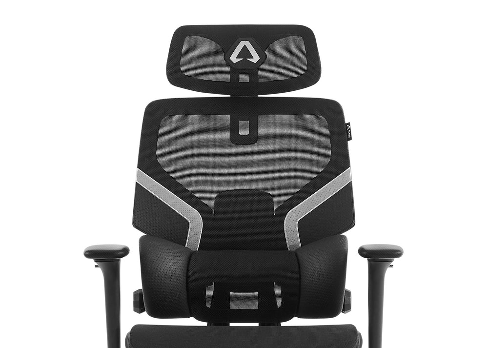Alpha Gamer Aurora